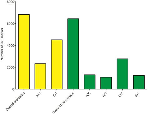 transitions and transversions in the set of 13 273 single nucleotide