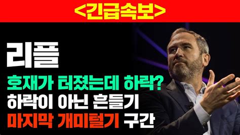 긴급속보 리플호재가 터졌는데 하락하락이 아닌 흔들기마지막 개미털기 구간리플 리플전망 리플코인 리플코인전망 Youtube