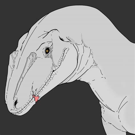 Allosaurid Or Somekind By Yoofilos On Deviantart