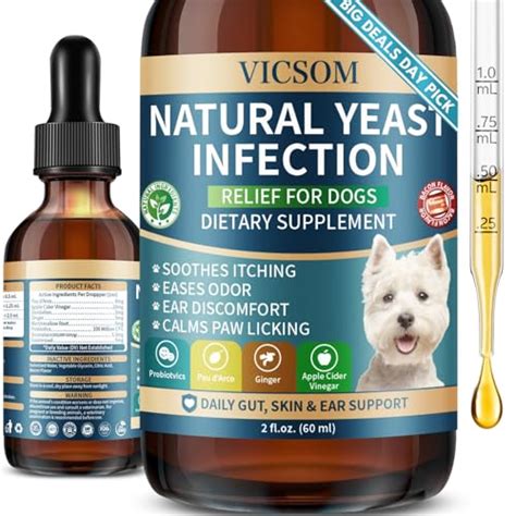 Best Ear Yeast Infection Treatments For Dogs To Restore Comfort Big