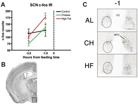 A Graph Showing Mean ±sem Number Of C Fos Immunoreactive Cfos Ir