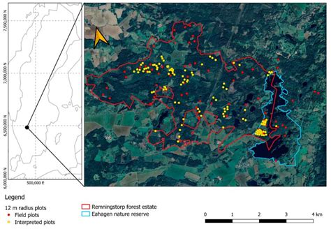 🌲🛰️📊 A Deeper Look Monitoring Deforestation In The Amazon Using
