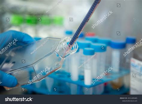 Cell Culture T Flask Cell Culture Stock Photo 2211285465 Shutterstock