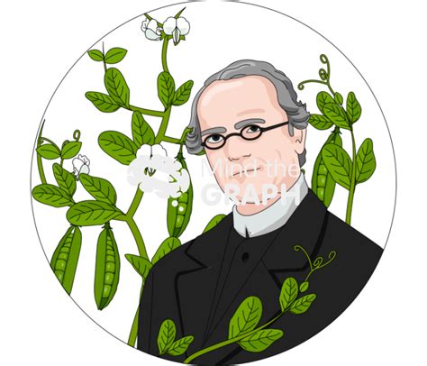 Free Gregor Mendel Experiments Icons Symbols Pictures And Images