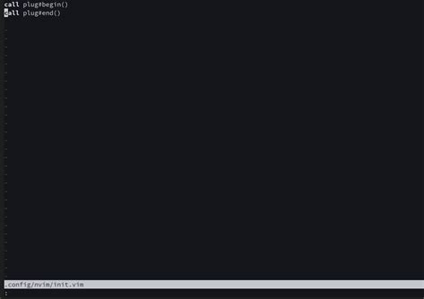 How Set Up Language Sever In Neovim By Mikail Aydın