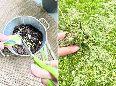 Easy Way To Apartment Composting