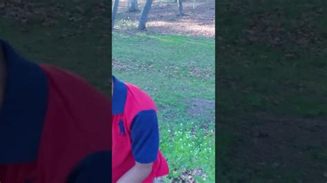 Cuz Piss On Tree YouTube