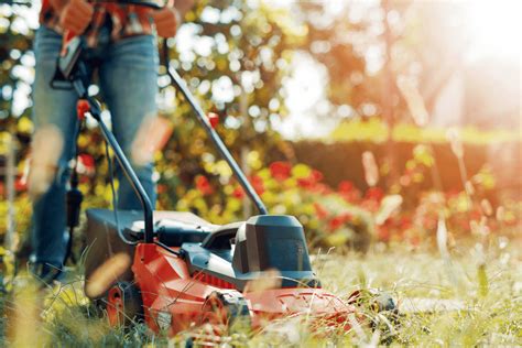 Does Frequent Mowing Thicken Grass?