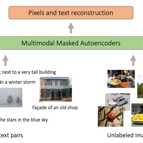 Multimodal Masked Autoencoder M3AE Consists Of An Encoder That Maps Download Scientific