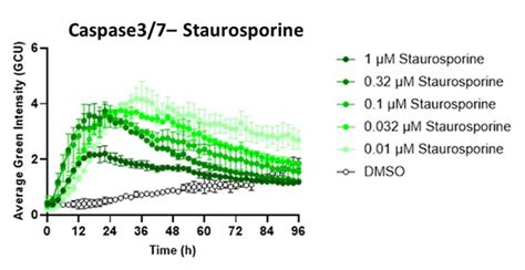 Cell Based Assay Development Live Cell Imaging