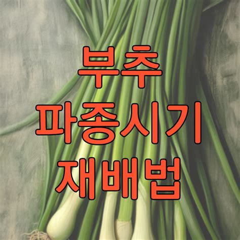 부추 씨앗 파종 시기 모종 심는 방법 재배법
