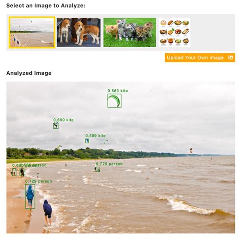 tensorflow js in browser object detection with ssd mobilenet