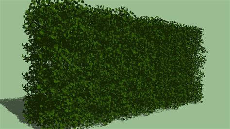 Green Hedge 3d Model For Landscape Architecture
