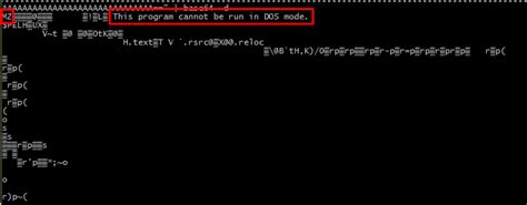 Weird Code Being Pasted In Rmalware