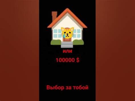 спаси котенка - YouTube