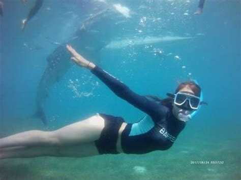 단독투어 오슬롭 고래상어 투어 투말록 폭포투어 필리핀세부 줌줌투어 필리핀 세부