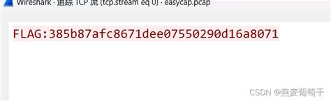 ctf misc：buuctf练习汇总（1 25题，不包括签到题） csdn博客