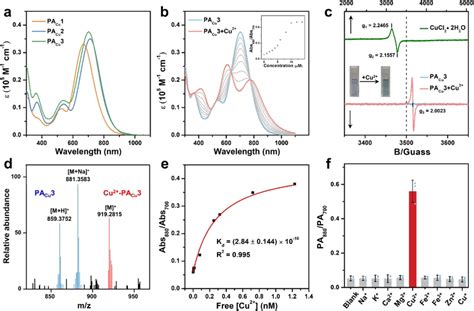 A Absorption Spectra Of Pa Cu 1 3 10 μm In Pbs Buffer B