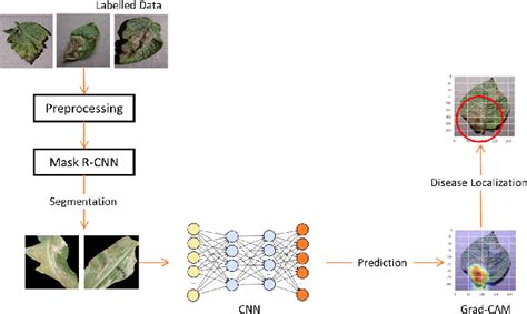 Figure 1 From Explainable Ai For Deep Learning Based Disease Detection