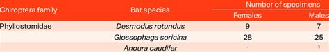 Distribution Of Neotropical Bats Into Families Species And Sex