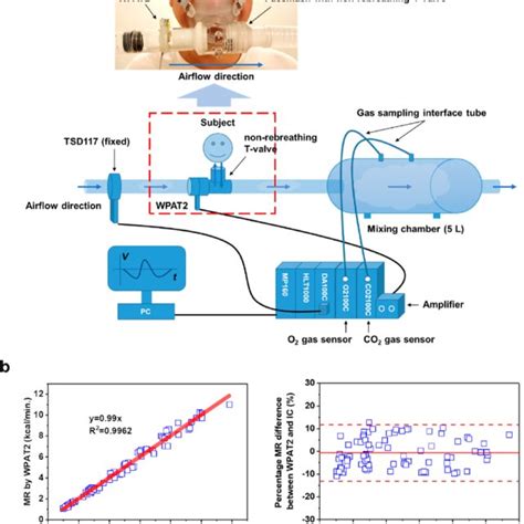Metabolic Monitoring A Schematic Of The Experimental Setup For The Download Scientific