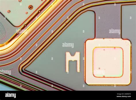 Light Micrograph Of A MEMS MicroElectroMechanical System Microphone Wafer MEMS Microphones