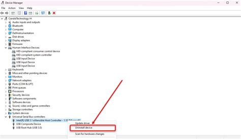 Why Are The Usb Ports Not Working On Windows 11 Quick Fix