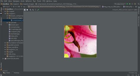 Php ImageMagick Crop Image With A Surrounding Background Stack Overflow