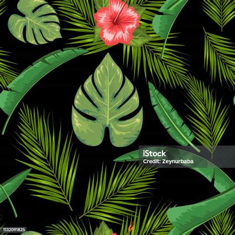 이국적인 추상적인 벡터 정글 또는 열 대 잎과 꽃 완벽 한 패턴입니다 벡터 일러스트입니다 녹색 잎과 검은 색 배경입니다 고체에 대한 스톡 벡터 아트 및 기타 이미지 Istock