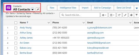 Contact List View In Salesforce