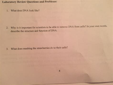 Solved What Does DNA Look Like Why Is It Important For Chegg