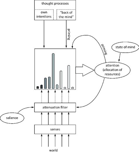 Illustrative Overview Of The Attentional Process Aimed To Structure Download Scientific