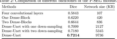 Punctate White Matter Lesion Segmentation In Preterm Infants Powered By Counterfactually