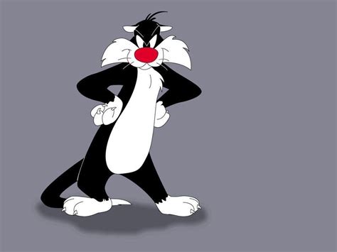 Sylvester The Cat Wallpapers Wallpaper Cave
