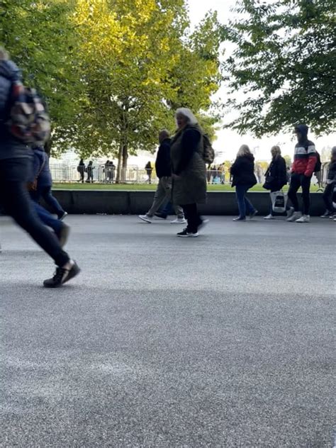 Queen Lying In State Queue People Walking London Free Stock Video