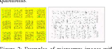 figure 2 from an overview of dna microarray image requirements for automated processing
