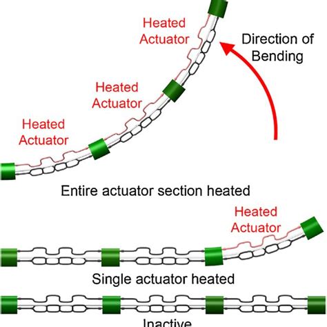 a multi segmented shape memory alloy based actuator system for endoscopic applications request pdf