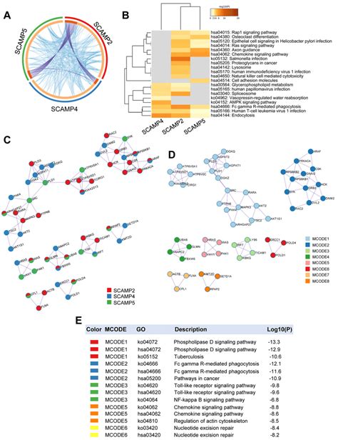 Overlaps Enrichment Analysis Ppi Network And Mcode Analysis Of Download Scientific Diagram