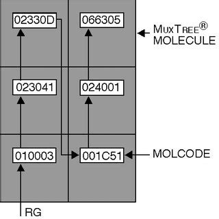 Modulo Up Down Counter A Ordered Binary Decision Diagrams For Q Download Scientific