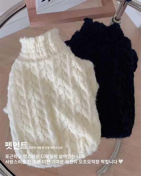 디어테일💕 멍멍이랑 분위기 좋은 카페 갈 때 어떤 옷 입을지 고민이라면 🤔 카페 데이트룩도 멍뭉미 뿜뿜🐶 스타일도 따뜻함도 챙긴 강아지 패션을 소개할게요 💖