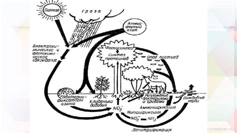 Презентация на тему Структура глобального цикла