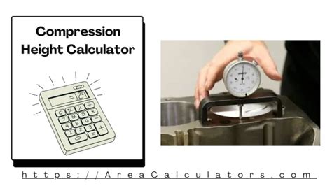 Population Growth Calculator Census Exponential Growth Size