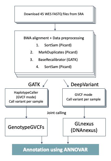 github xuan045 ngs project