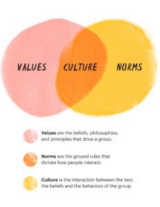 Group Norms Essential Guidelines For Team Success