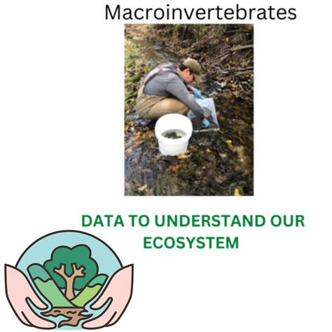 Biology Macroinvertebrate Pollution Tolerance Index Middle And High
