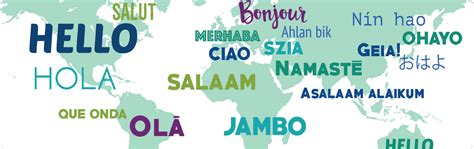 Knowledge Hub Logituit