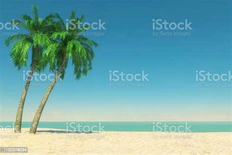 관광 및 여행 개념입니다 하얀 모래와 코코넛 야자수가 있는 빈 열 대 낙원 해변 3d 렌더링 0명에 대한 스톡 사진 및 기타 이미지 Istock