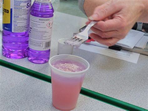 Y6 Science Classification And Microorganisms Brookside Primary School