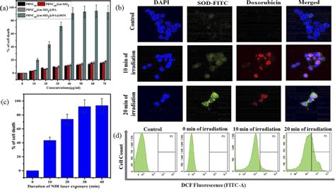 A Concentration Dependent Mtt Assay Plot After 24 H Incubation With Download Scientific